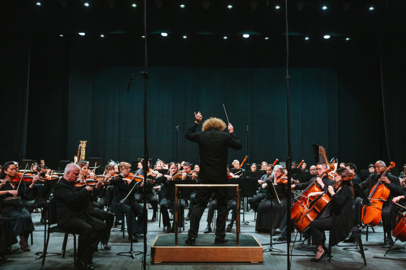 2025: The State of the Orchestra - St. Louis Symphony Orchestra