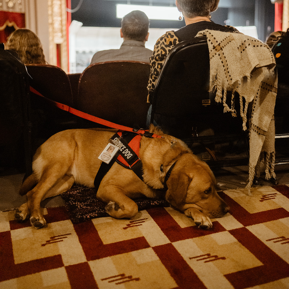 The SLSO Returns to Powell Hall for a 25/26 Season of Celebration - St ...