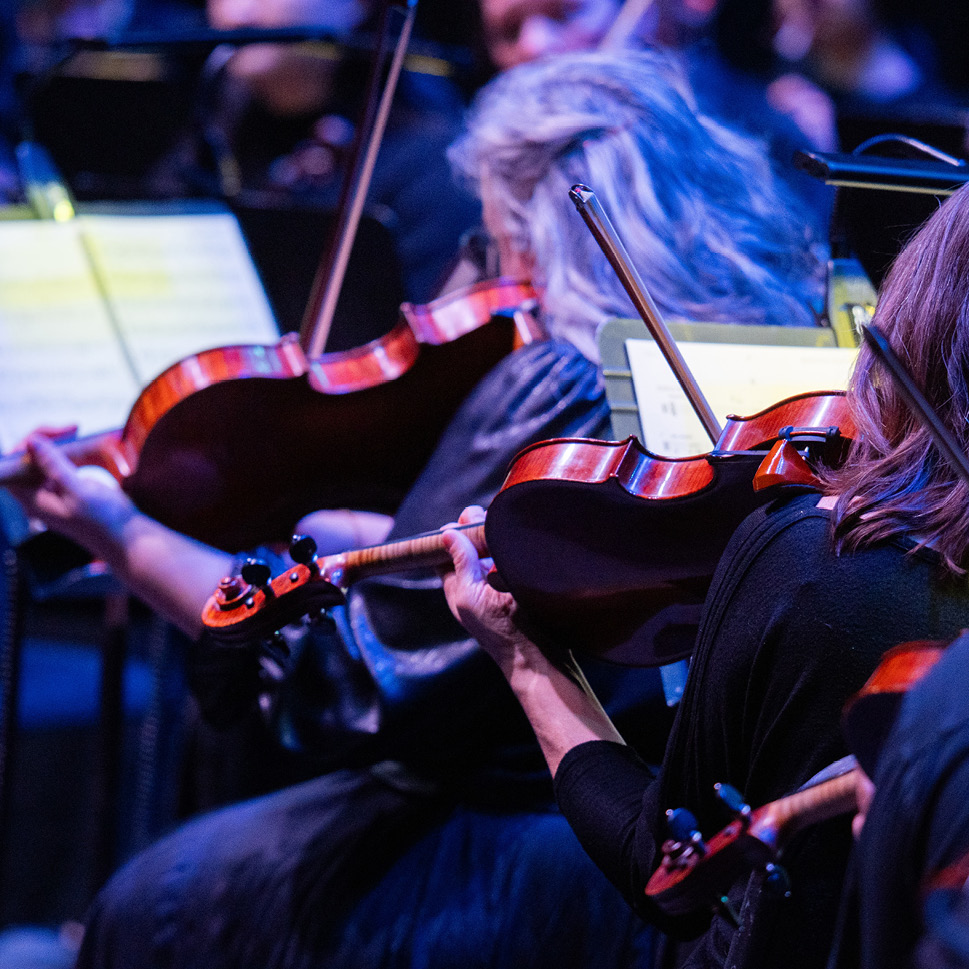 Digital Concert: Young Person's Guide - St. Louis Symphony Orchestra